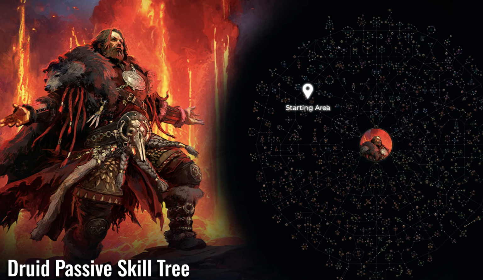 Path of Exile 2 Druid Guide: Skills, Builds & Shapeshifting